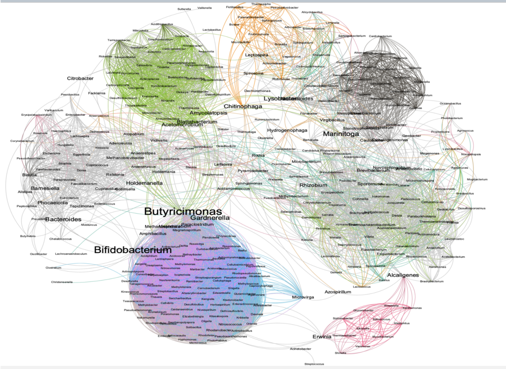 Exploring Variations in Gut Microbiome Networks among Patients with ...